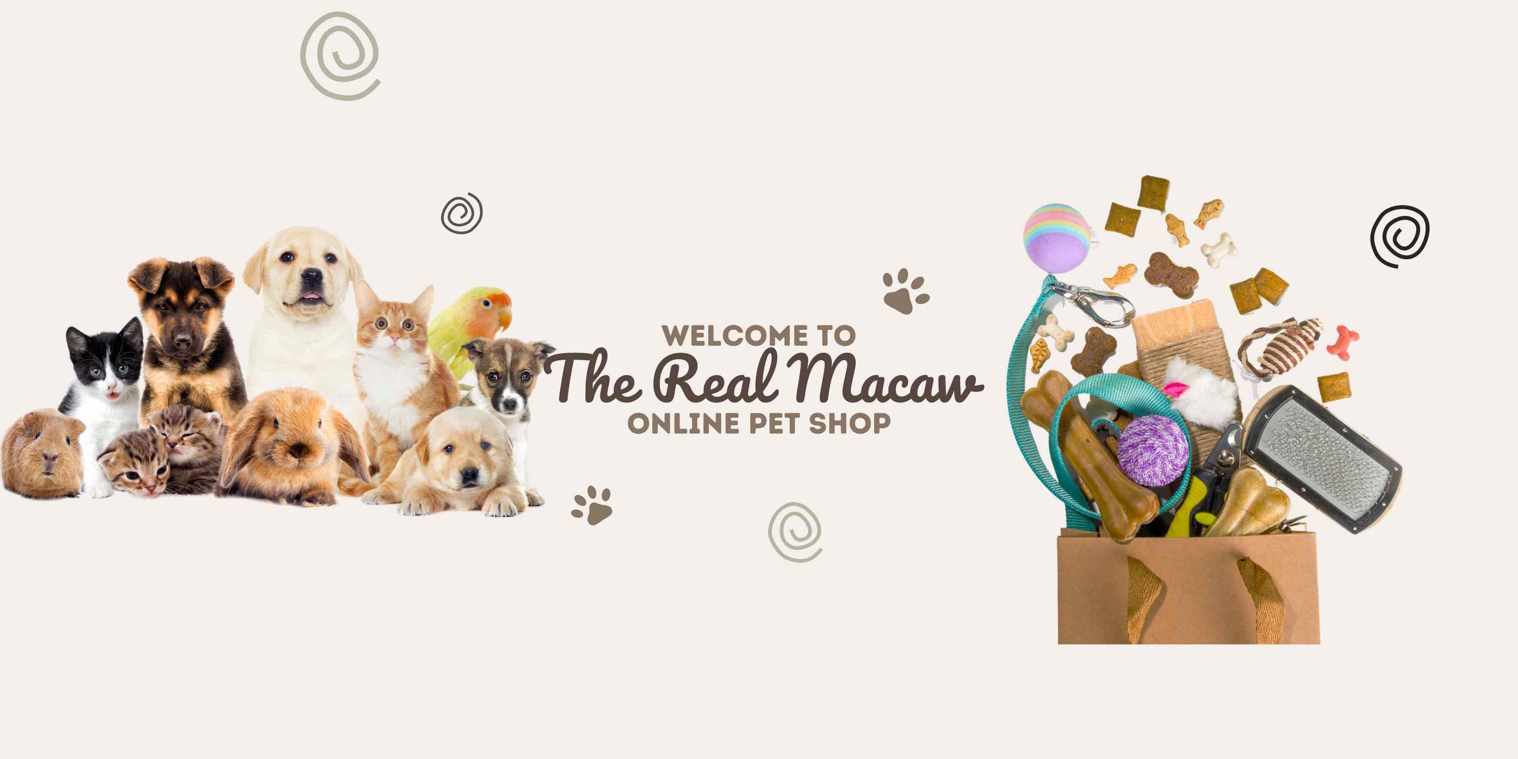 The Real Macaw Pet Shop